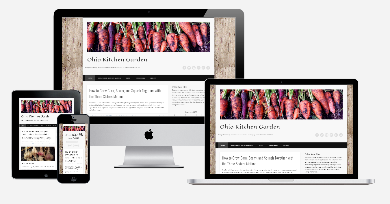 Web Design Portfolio - Coyote Holmberg